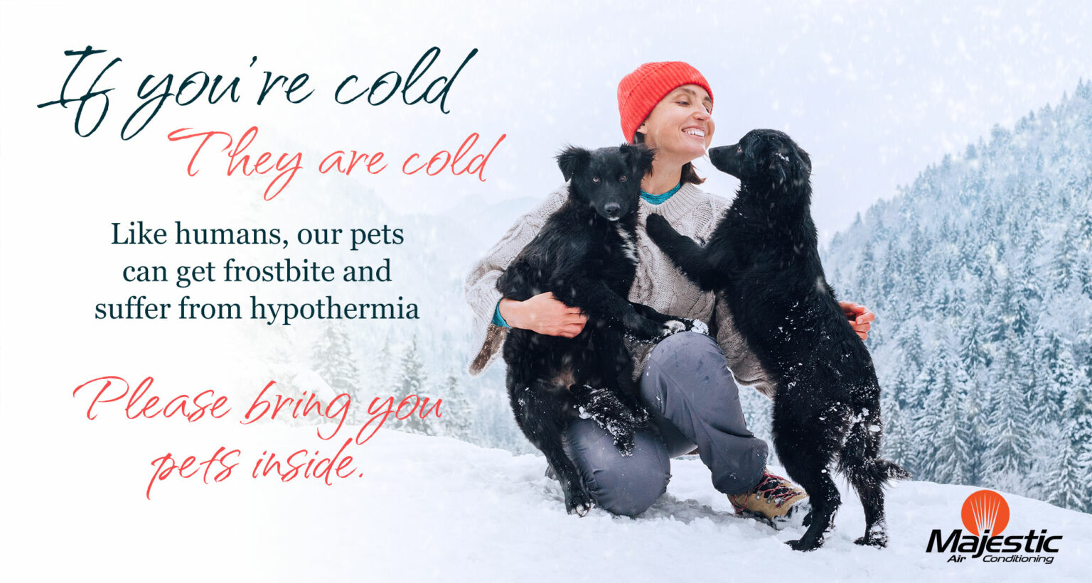 Bring your pets inside when its cold outside - Majestic Air Conditoning